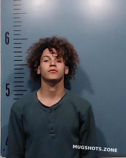 WHITFIELD CLARENCE APPLIN 01/29/2023 - Taylor County Mugshots Zone