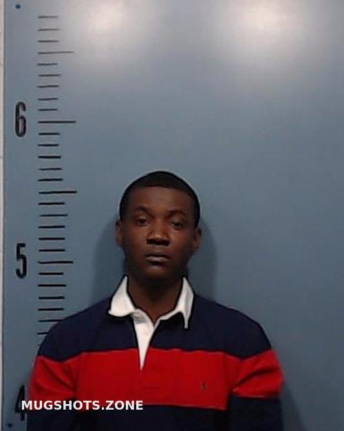 JOHNSON TERRENCE NEAL 02/03/2023 - Taylor County Mugshots Zone