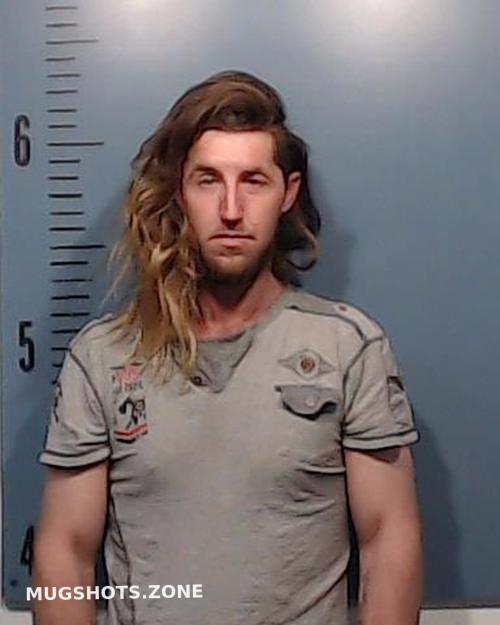 GRAVES TRAVIS LEE 02/22/2023 - Taylor County Mugshots Zone