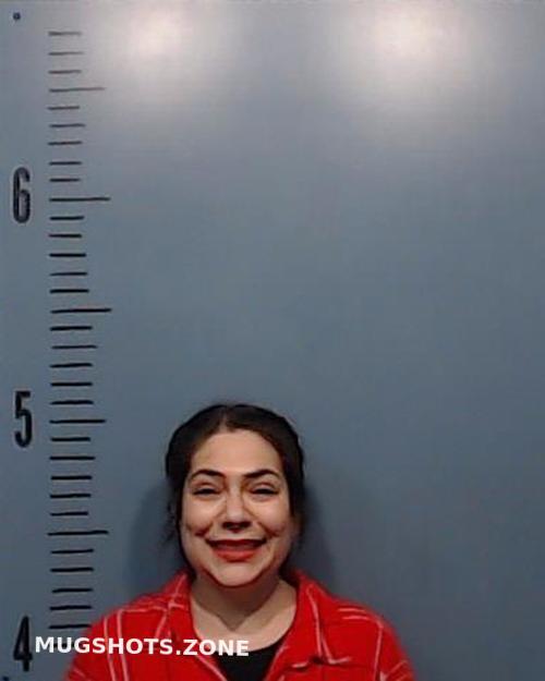 SWENOR LARISSA ANN 03/23/2023 - Taylor County Mugshots Zone