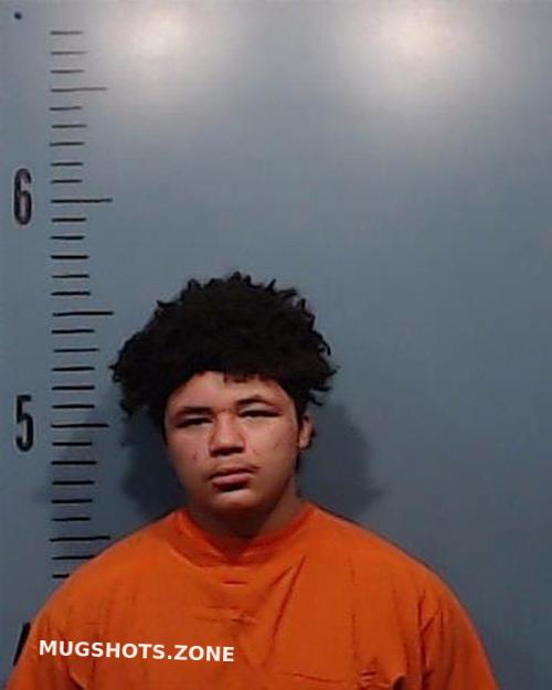 MCADAMS COLSON JAY 03/25/2023 - Taylor County Mugshots Zone