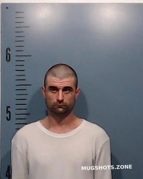 HOWARD JASON WAYNE 03/30/2023 - Taylor County Mugshots Zone