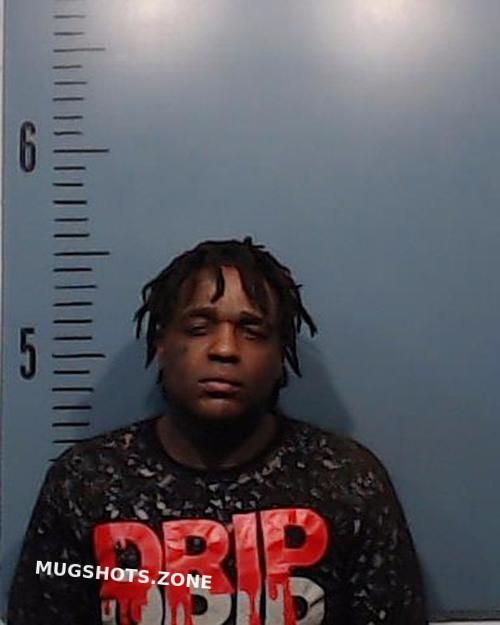 LYONS TERRENCE DWAYNE 04/08/2023 - Taylor County Mugshots Zone