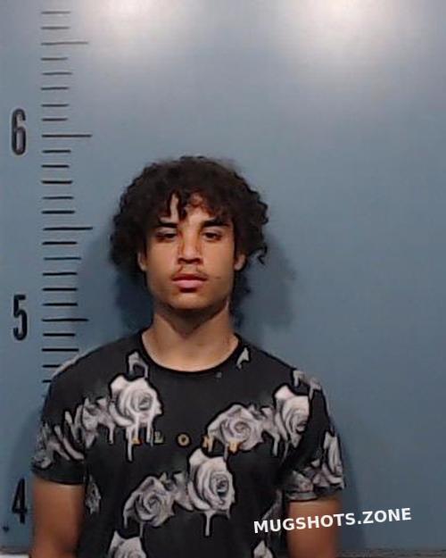 WILLIAMS TREVION DESHAWN 04/13/2023 - Taylor County Mugshots Zone