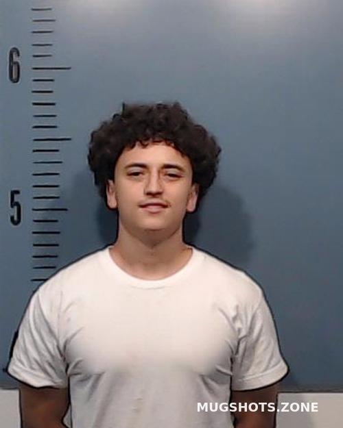 DAVIS LANDON TYLER 04/14/2023 - Taylor County Mugshots Zone
