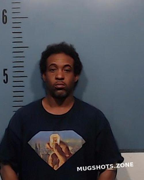 REED RICKEY LANE JR. 04/23/2023 - Taylor County Mugshots Zone