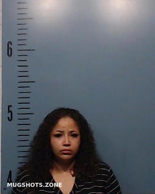 LATTIMORE JENNIFER RENEE 05/03/2023 - Taylor County Mugshots Zone