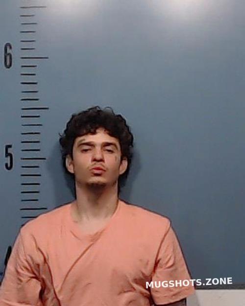 SEPULVEDA WILLIAM ALEXANDER 05/14/2023 - Taylor County Mugshots Zone