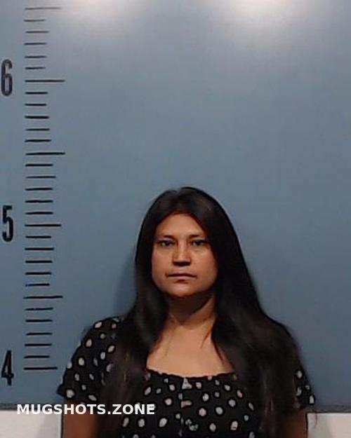 PONCE THELMA ILIANA 05/31/2023 - Taylor County Mugshots Zone