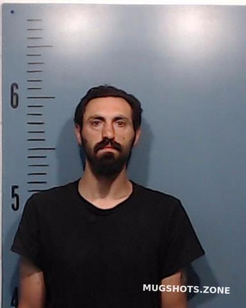 ALLISON JIMMY LEE 06/09/2023 - Taylor County Mugshots Zone