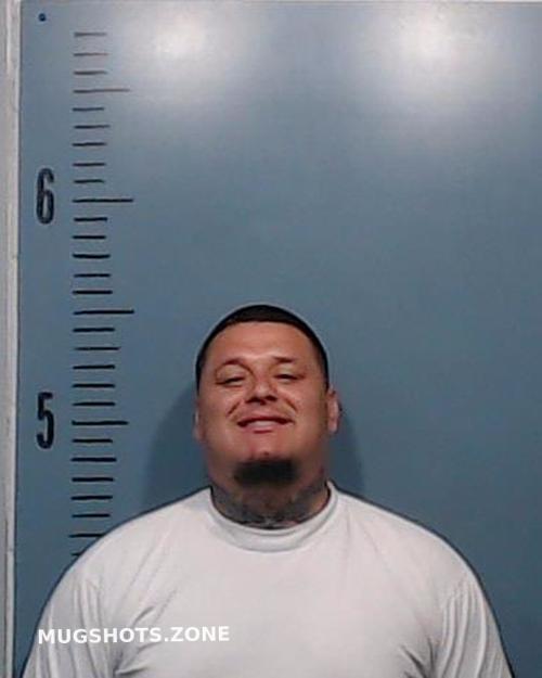 LOPEZ VICTOR HUGO II 06/15/2023 - Taylor County Mugshots Zone