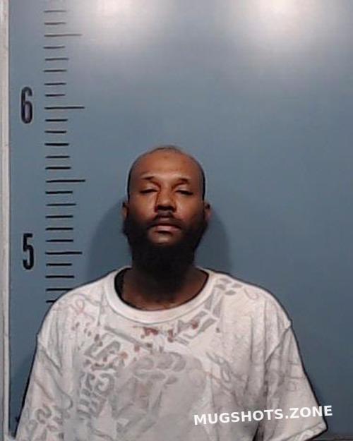 RALSTON DYWAYNE JUNIOR 06/17/2023 - Taylor County Mugshots Zone