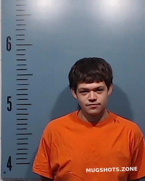 STOKES JOHNNY RAY JR. 06/20/2023 - Taylor County Mugshots Zone