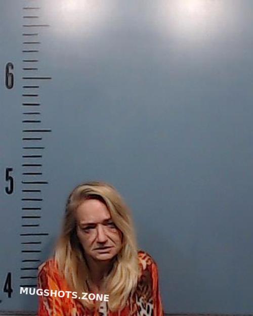 WAGGONER CINDY JO 07/05/2023 - Taylor County Mugshots Zone