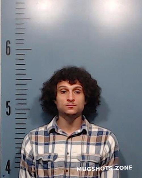 DOCKINS LEKENDRICK RYNE 08/10/2023 - Taylor County Mugshots Zone