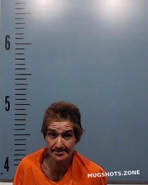 Martinez Michelle 09 02 2023 Taylor County Mugshots Zone