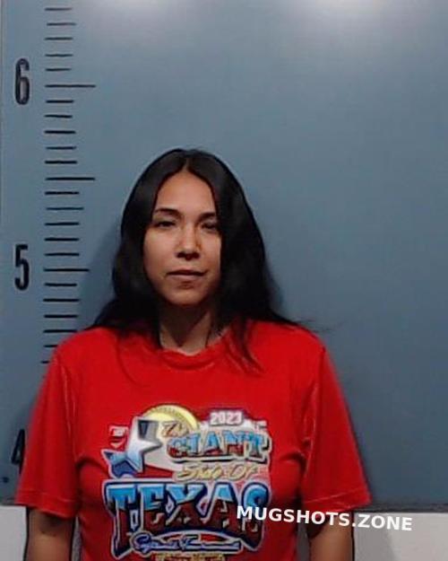 GONZALES NATALIE MARIE 09/09/2023 - Taylor County Mugshots Zone GONZALES NATALIE MARIE 09/09/2023 - Taylor County Mugshots Zone