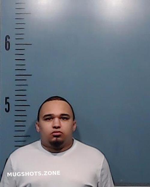 HARRELL JAMES EDWARD JR. 09/12/2023 - Taylor County Mugshots Zone HARRELL JAMES EDWARD JR. 09/12/2023 - Taylor County Mugshots Zone