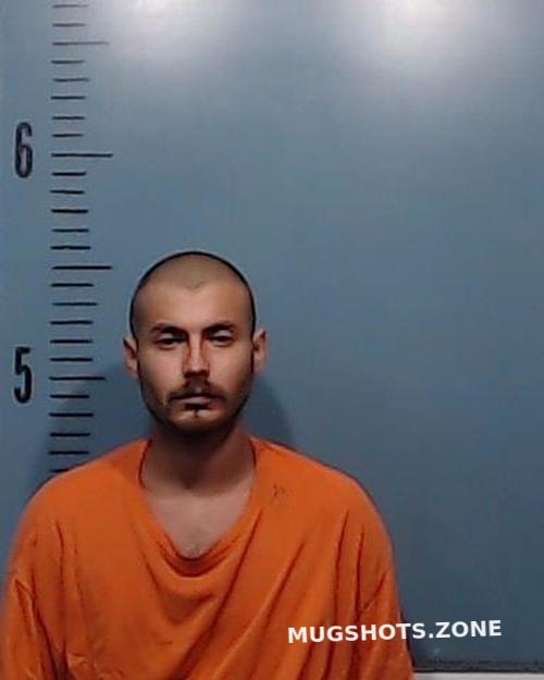 ZIRKLE BRANDON SCOTT 09/17/2023 - Taylor County Mugshots Zone