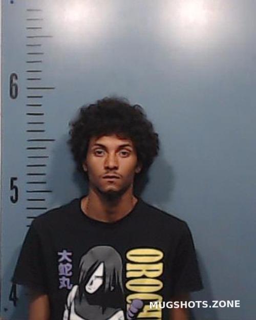 REYNOLDS AUSTIN LOGAN 10/26/2023 - Taylor County Mugshots Zone