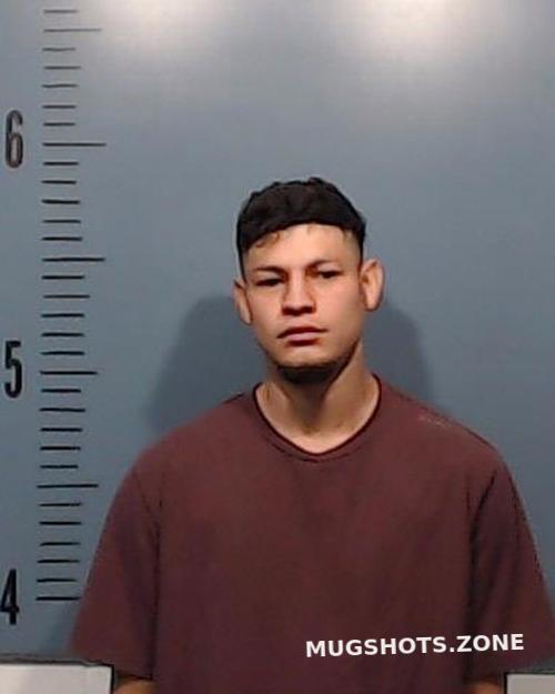 MATUTE-LOBO ORCAR ARMANDO 11/11/2023 - Taylor County Mugshots Zone