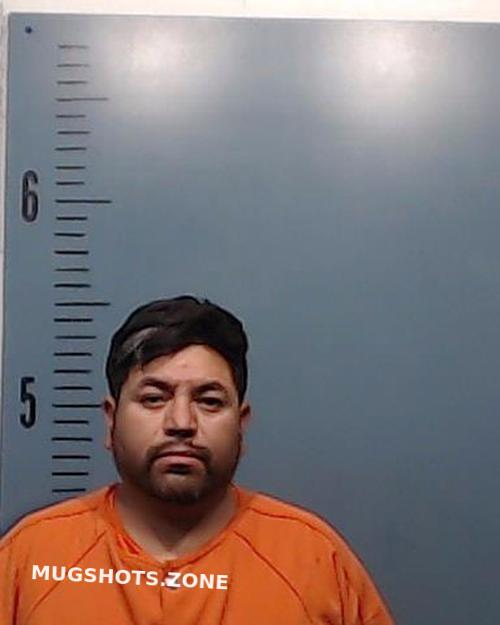 Chavez Trejo Rainiero 11 17 2023 Taylor County Mugshots Zone