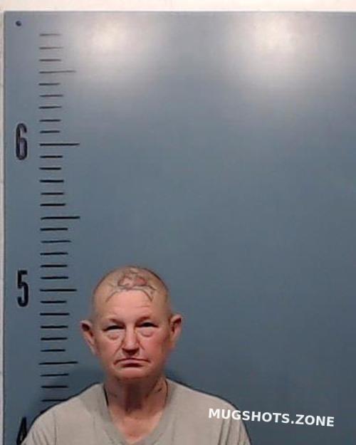 OLIVER LOU ELLEN 11/24/2023 - Taylor County Mugshots Zone