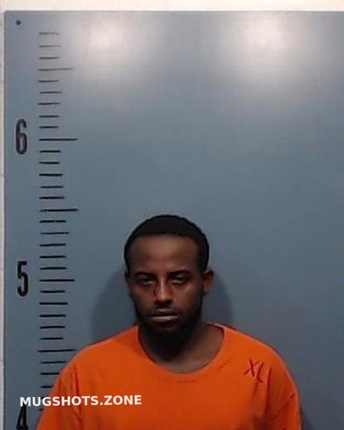 RODDY ROBERT LEON JR. 11/24/2023 - Taylor County Mugshots Zone