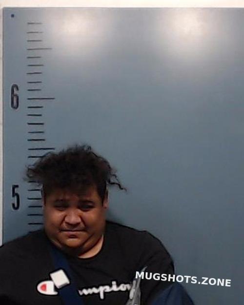 CASTILLO MATTHEW 11/26/2023 - Taylor County Mugshots Zone