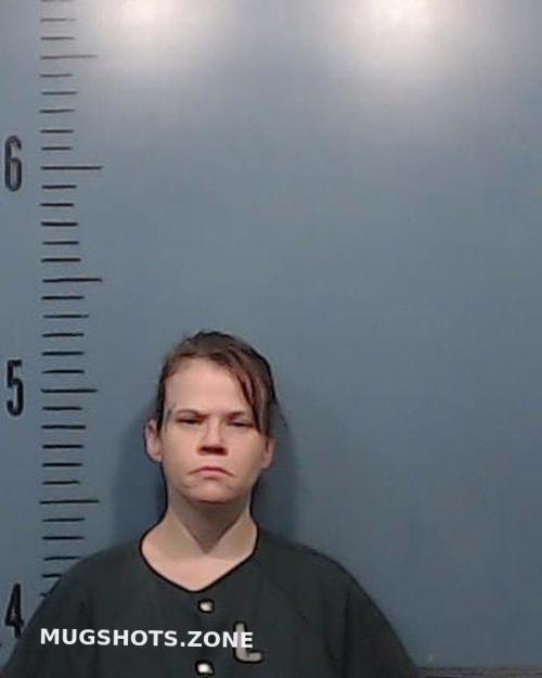 Frazier Ashley Deanna 12 14 2023 Taylor County Mugshots Zone