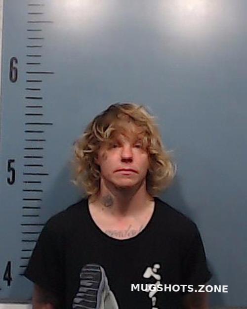 STRAWBRIDGE HUNTER WAYNE 12/22/2023 - Taylor County Mugshots Zone