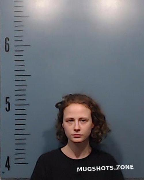 LINDLEY HALEY JACKLYN 01/05/2024 - Taylor County Mugshots Zone