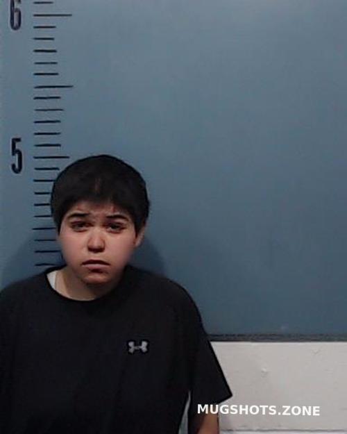 MARTINEZ EMELIA CARMEN 01/18/2024 - Taylor County Mugshots Zone