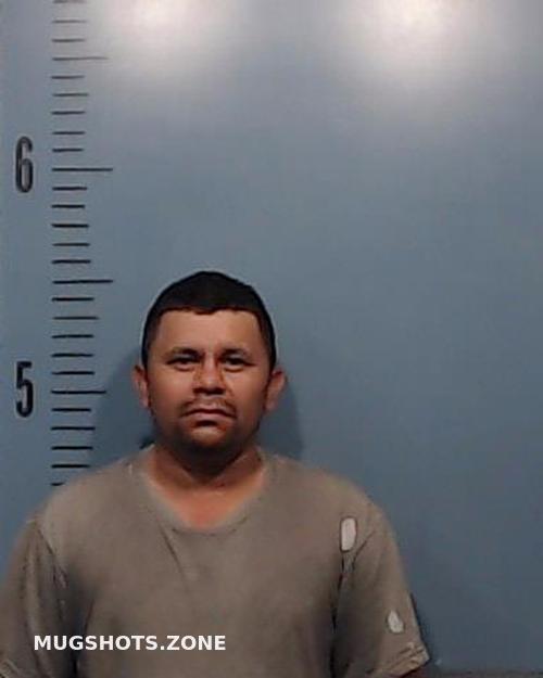 MONTANO-BORGE MELVIN FRANCISCO 01/25/2024 - Taylor County Mugshots Zone