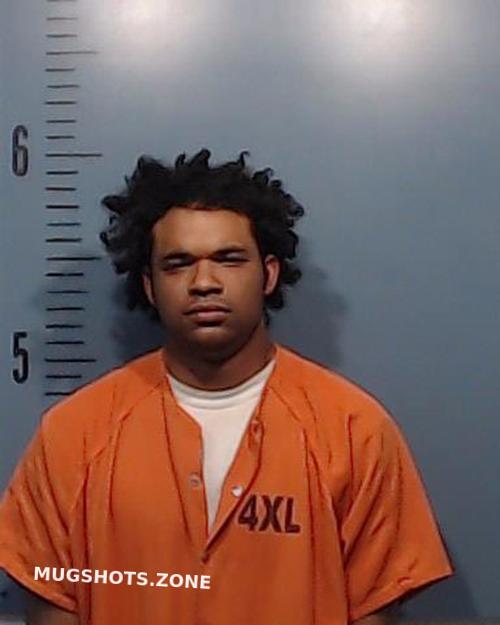 PENA MARCUS REGINALD 02/02/2024 - Taylor County Mugshots Zone