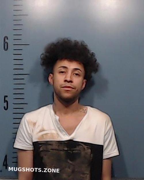 JACKSON DEVON TANAKA 02/03/2024 - Taylor County Mugshots Zone