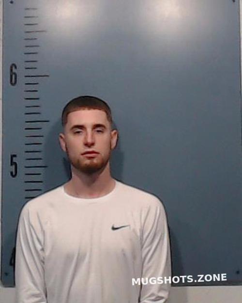 ELEZI MEVLAN 02/10/2024 - Taylor County Mugshots Zone