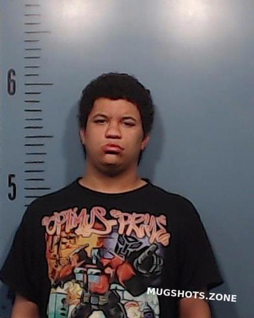 MATHIS JAROD JOHNTAY 02/21/2024 - Taylor County Mugshots Zone