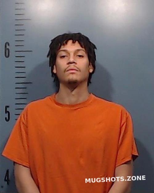 MILLS DEREK ANTHONY MARVIN 02/24/2024 - Taylor County Mugshots Zone