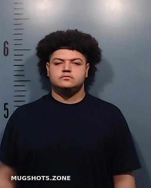 RAMON SERGIO MANUEL 03/04/2024 - Taylor County Mugshots Zone