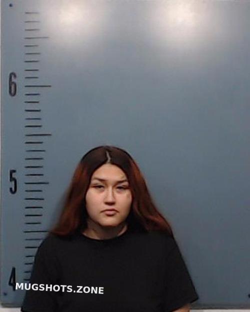 TORRES ALAZAE RAY 03/06/2024 - Taylor County Mugshots Zone