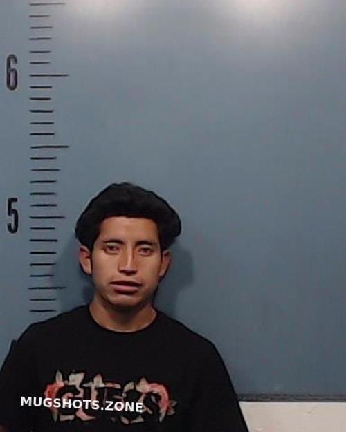 SIMAJ-MENDEZ WALTER OTONIEL 03/16/2024 - Taylor County Mugshots Zone