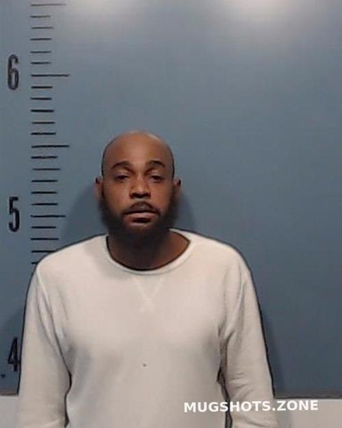 JOHNSON CHRISTOPHER ANTONIO 03/25/2024 - Taylor County Mugshots Zone