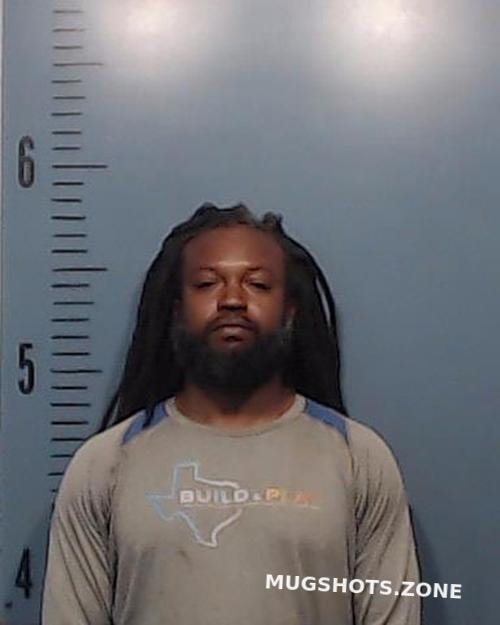 SPEIGHTS REGINALD RENE JR. 03/30/2024 - Taylor County Mugshots Zone