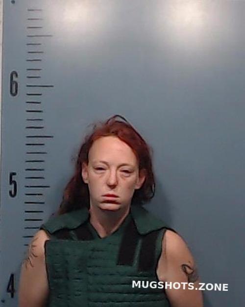 PERKINS ASHLEE LYNN 04/06/2024 - Taylor County Mugshots Zone