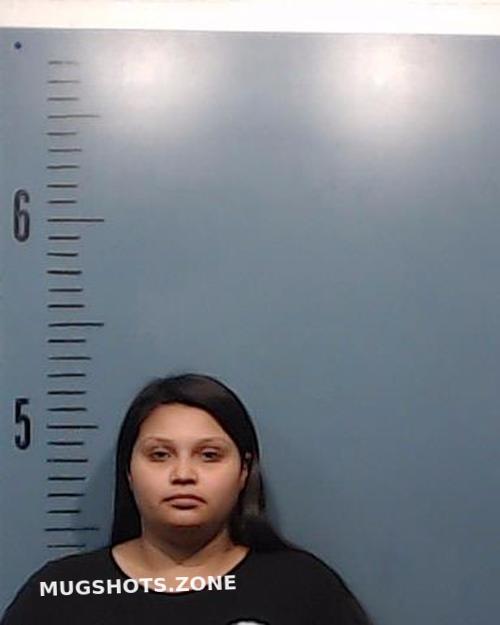 Gomez Mireya Rae 04252024 Taylor County Mugshots Zone