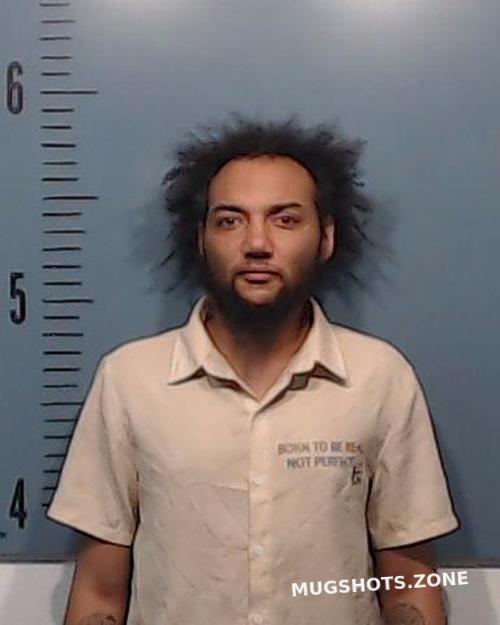 WILLIAMS FREDERICK LEON JR. 04/26/2024 - Taylor County Mugshots Zone