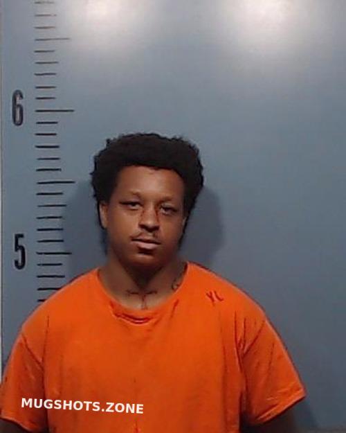 WILLIAMS DEVION JONTAE 04/28/2024 - Taylor County Mugshots Zone