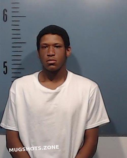 JAY DEJUAN JAHEEM 04/30/2024 - Taylor County Mugshots Zone