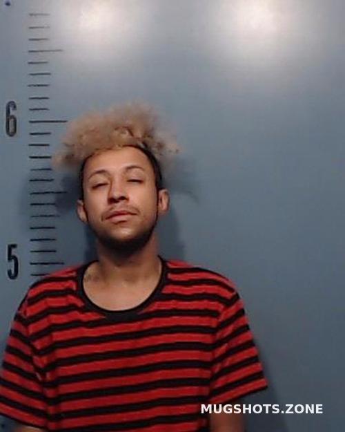 JACKSON DEVON TANAKA 05/22/2024 - Taylor County Mugshots Zone
